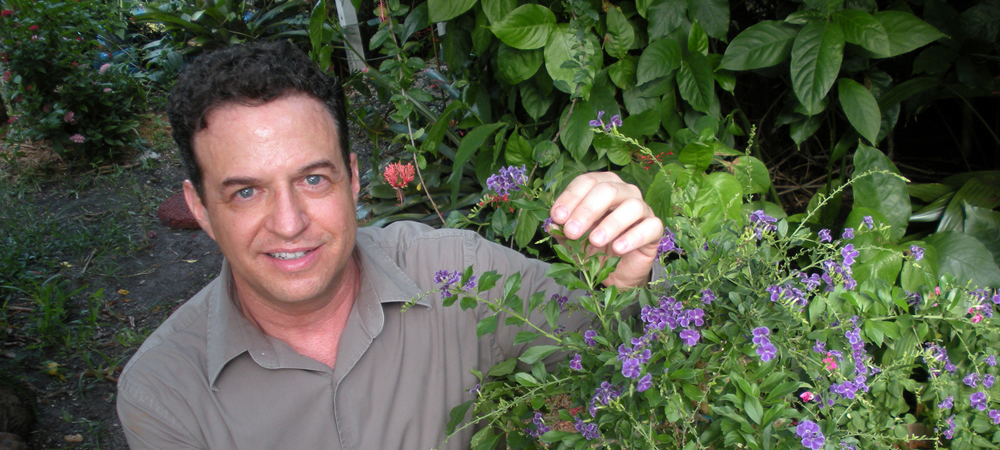 Robert Bornstein | Home Page