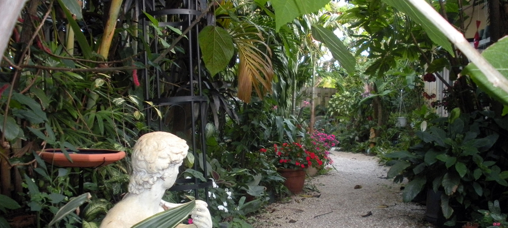 Robert Bornstein | Media Magazine