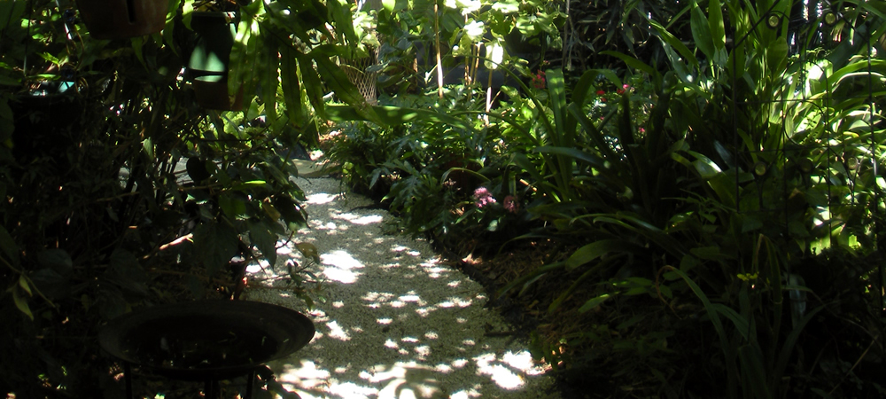 Robert Bornstein | Home Page