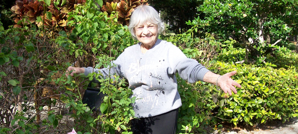 Robert Bornstein | Contact & Social Media