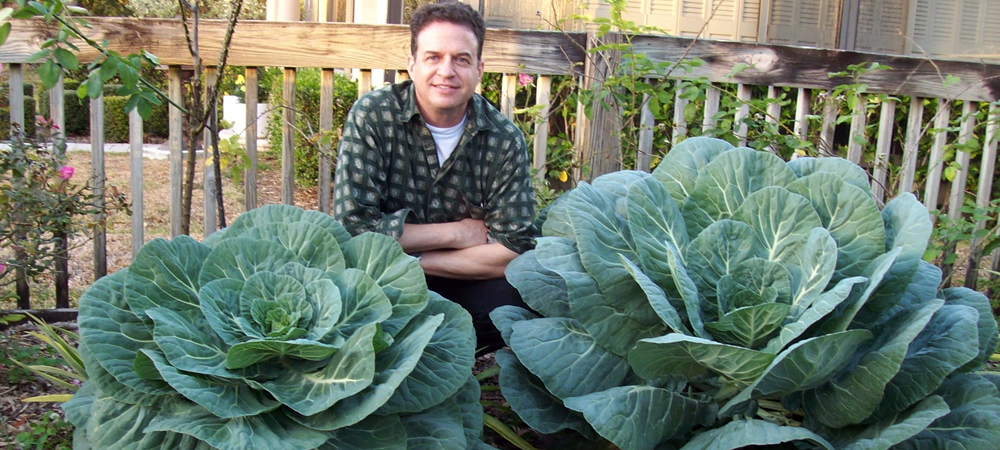 Robert Bornstein | About Robert