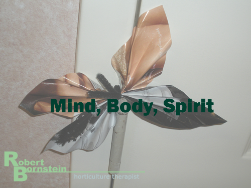 Robert Bornstein | Photo Gallery Home